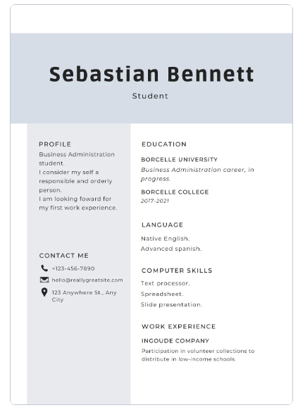 Choose Resume Template